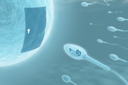 Nebojte se intrauterinní inseminace | uLékaře.cz